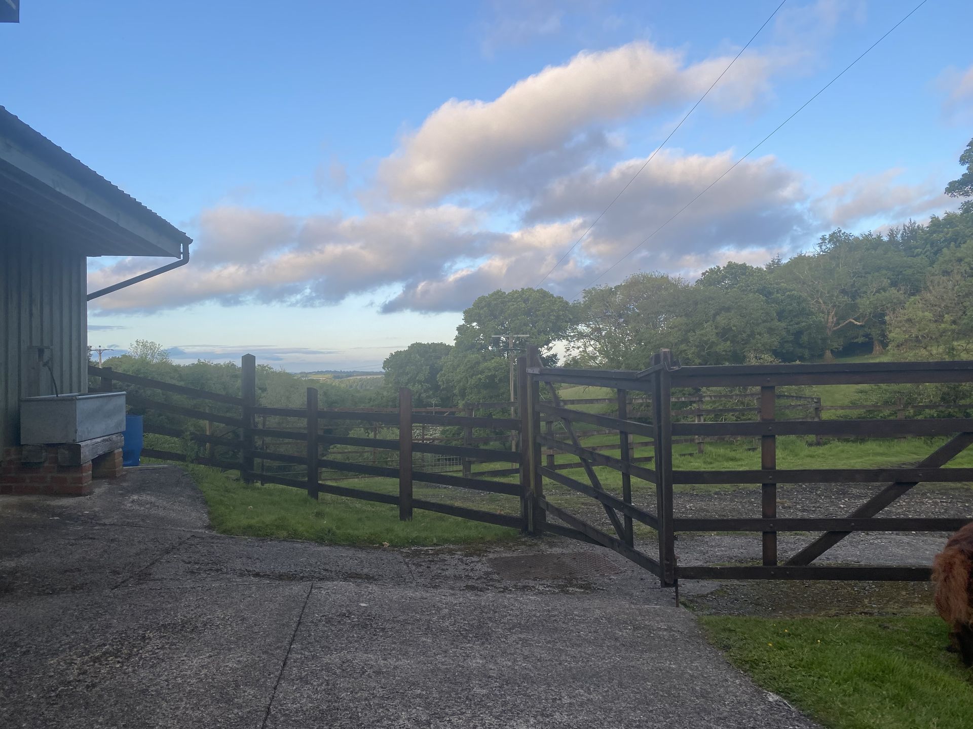 Home | Solace in Devon