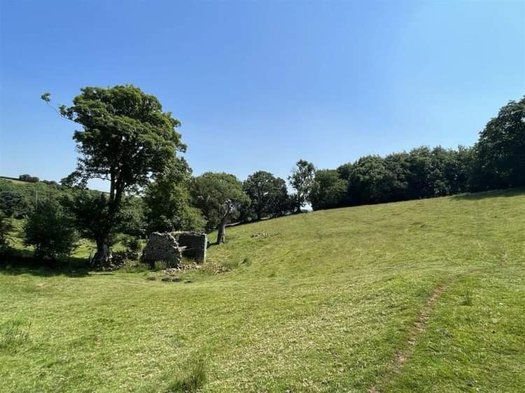 Home | Solace in Devon